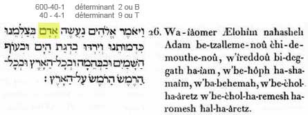 Adam, écriture du terme 1